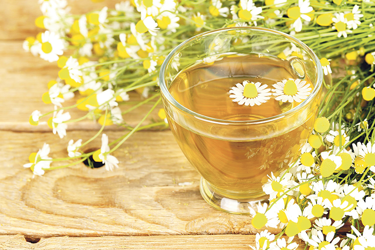 ماهي فوائد البابونج للشعر؟ - الأخبار جريدة إلكترونية مغربية مستقلة